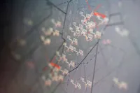 Inside the Blue UAS Program: The Pentagon’s Top Drones in 2025